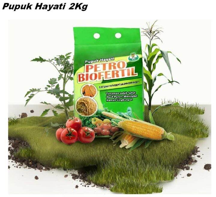 Pupuk Pertanian - Pupuk Hayati Petro Biofertil 2Kg | Lazada Indonesia