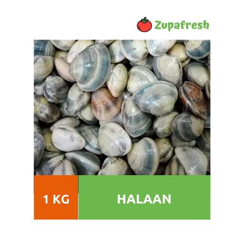 HALAAN (1 KG) Zupafresh Seafood | Lazada PH