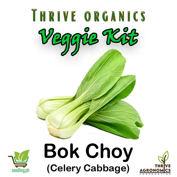 Bok Choy | Pak Choi | Pok Choi | Chinese Cabbage | Green Leafy Veggie ...