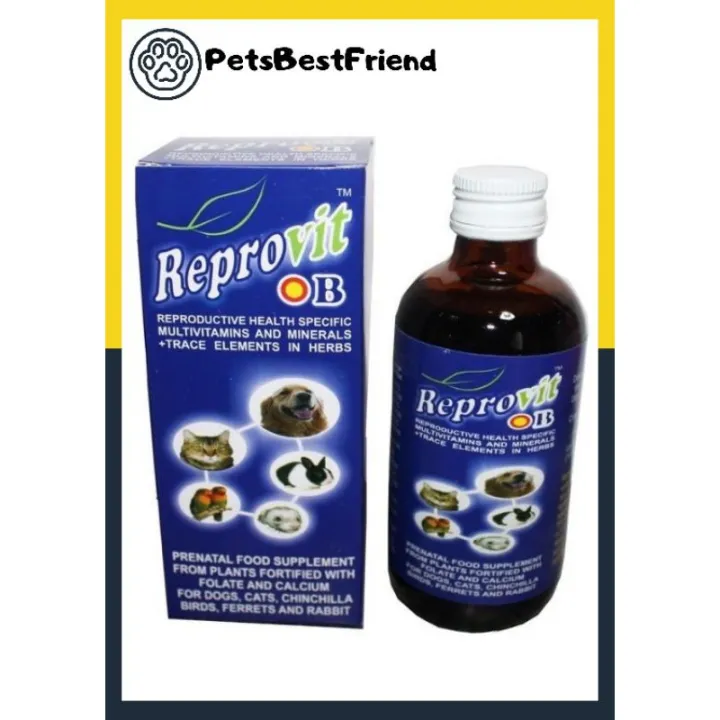 REPROVIT OB MULTIVITAMINS 120mL | Lazada PH