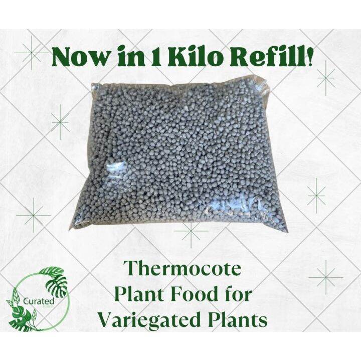 Thermocote: Plant Food for Variegated Plants! 1 Kilo Refills in Ziplock ...