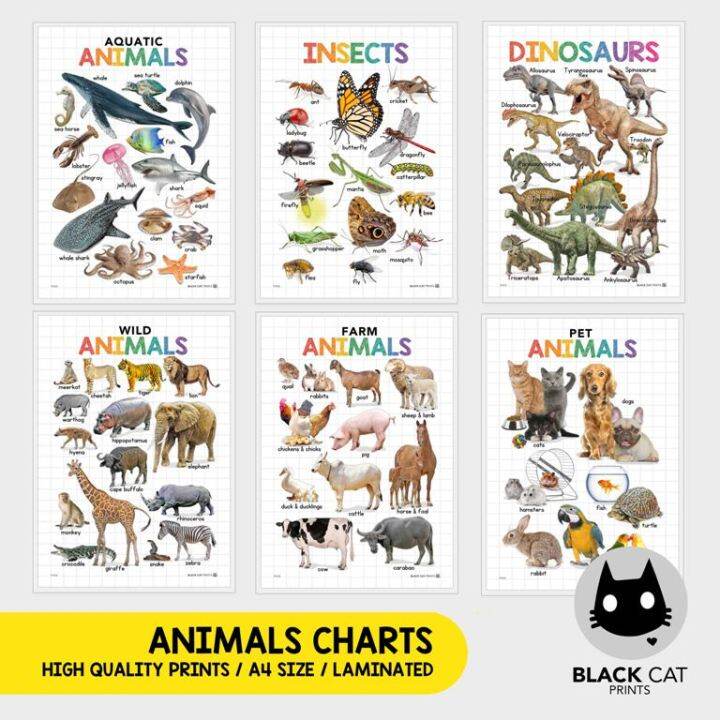 Animals Insects Dinosaurs Posters / Animals Chart for Children ...