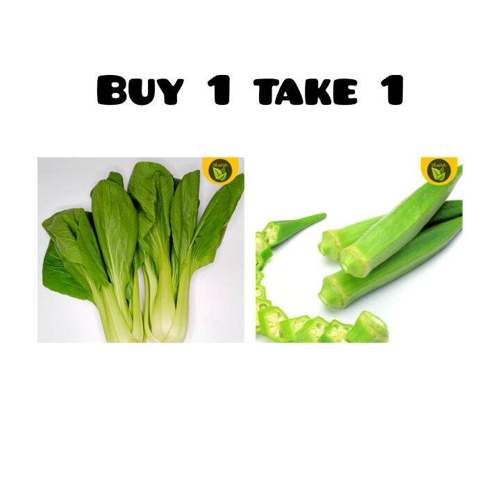 Binhi pantanim Buy 1 Take 1 pechay okra | Lazada PH