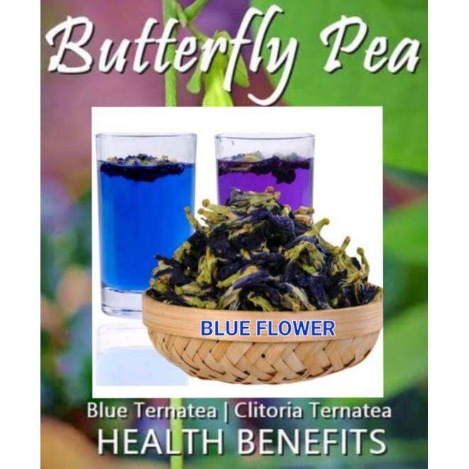 Blue Ternate Tea Butterfly Pea Flower 250 grams 100 Pure and Organic ...