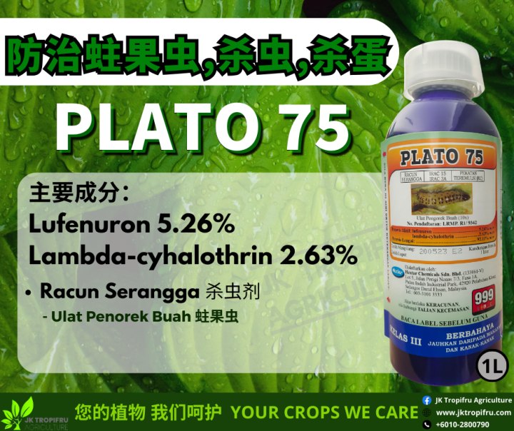 Plato 75 Hextar（1L）Insecticide/ Racun Serangga/ 虫药/蛋药 （防治蛀果虫，杀虫，杀虫蛋） | Lazada
