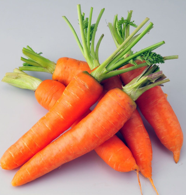 Carrots seeds /Vegetable seeds gardening | Lazada PH