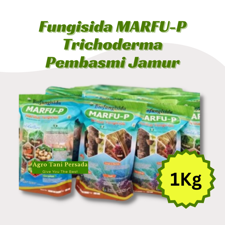 Fungisida Organik MARFU-P Isi 1Kg Thricoderma Trikoderma Pembasmi Jamur ...