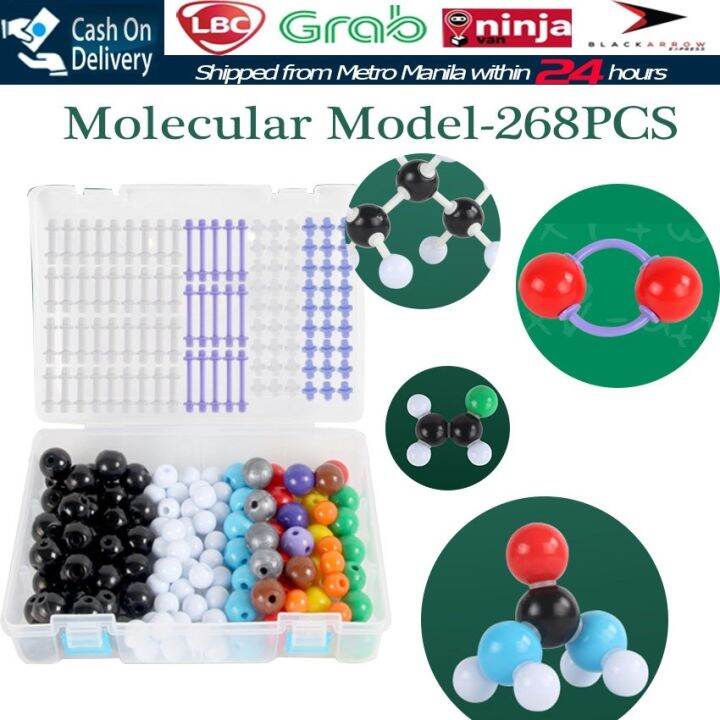 Molecular Structure Model High School Student Chemical Ball Stick ...