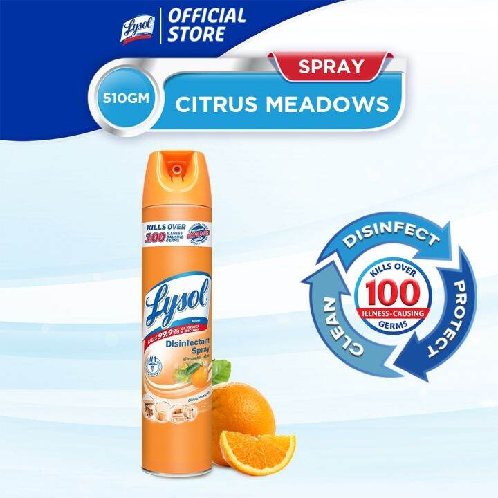 Lysol Disinfectant Spray Citrus Meadows 510g | Lazada PH