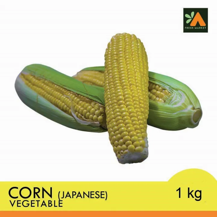 Vegetable Yellow Corn (Japanese corn) 1 kg | Lazada PH