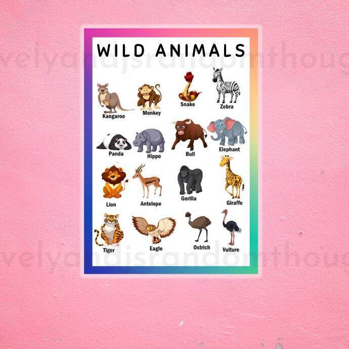 Laminated Charts Wild Animals Educational Charts A4 size | Lazada PH