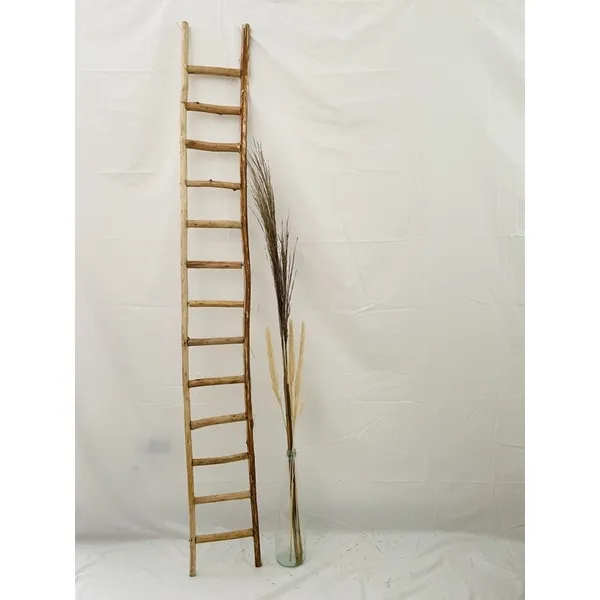 NATIVE TRELLIS LADDER / TRAILING PLANT LADDER (4.9FT x 8”) | Lazada PH