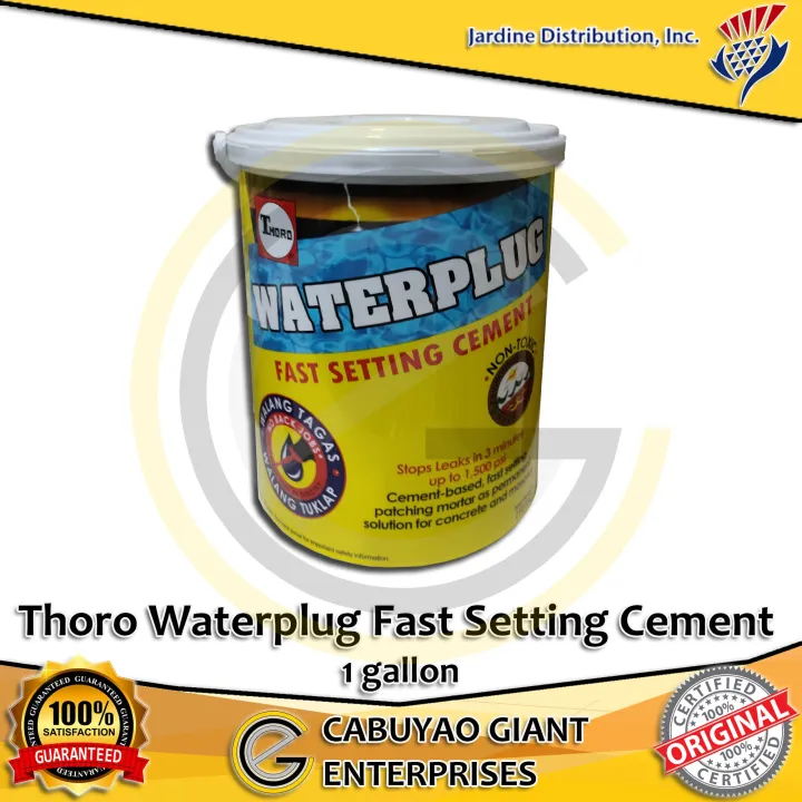Jardine Thoro Waterplug Fast Setting Cement (gallon) | Lazada PH