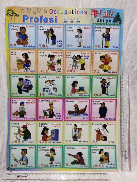 Poster Profesi Occupations & Poster Lainnya per 5lembar READY STOCK ...