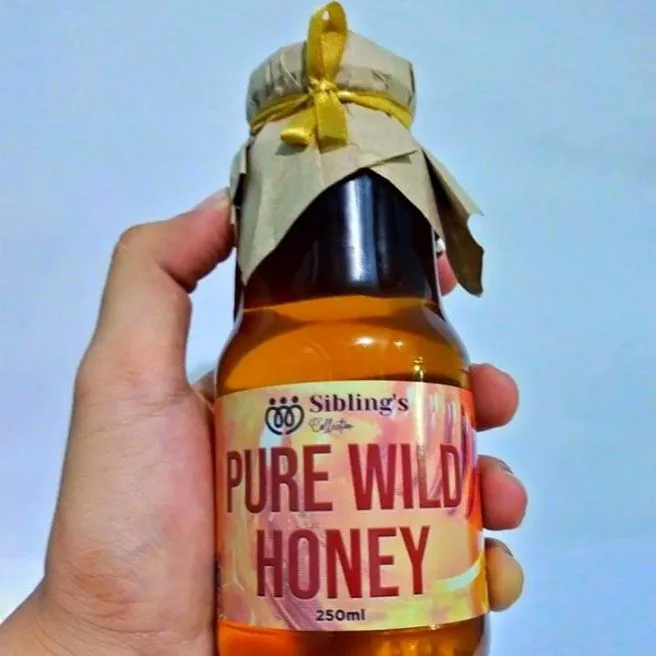 Pure Wild Honey 250ml | Lazada PH