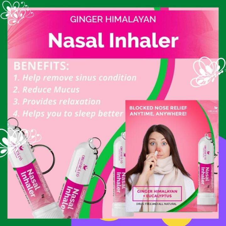 Hot agkf21 [AiTems] Ginger Himalayan Oil Nasal Inhaler | Lazada PH