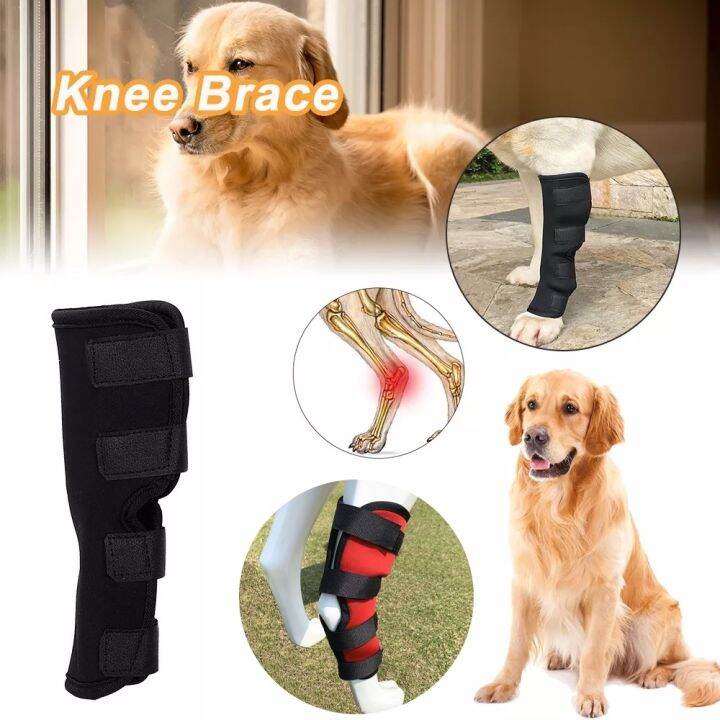 Pet Injury Prevention Lick Guard Leg Support Hock Dog Cat Brace Bandage ...