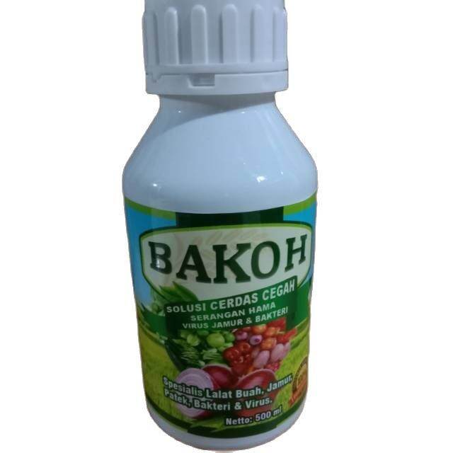 BAKOH 500 ml dengan kandungan kalium silika ionik + mikro mencegah ...