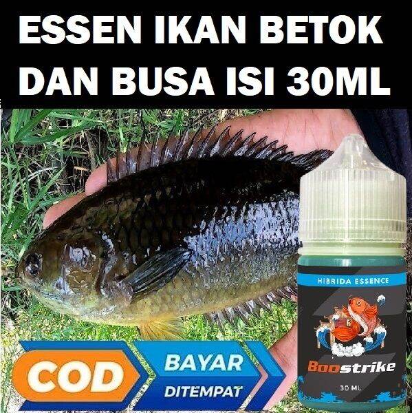 ESSEN IKAN BETOK DAN BUSA ISI 30ML | BOOSTRIKE HIBRIDA ESSENCE | Lazada ...