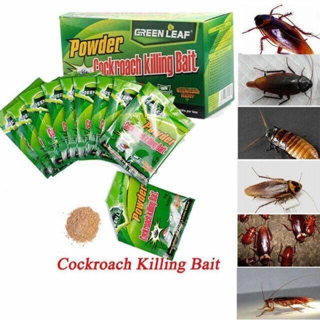 1PC Effective Green Leaf Powder Cockroach Ipis Killing Bait -- Pests ...