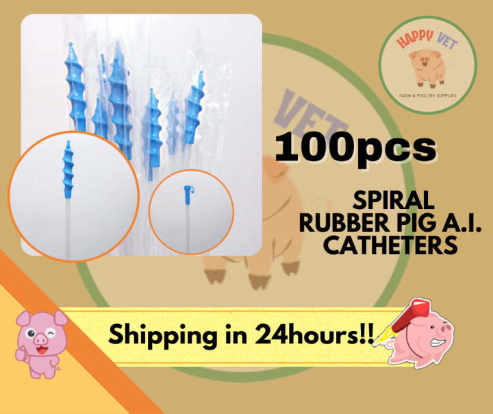 100 pcs Spiral tip rubber disposable A.I. Catheter for Pig Sow Gilt ...