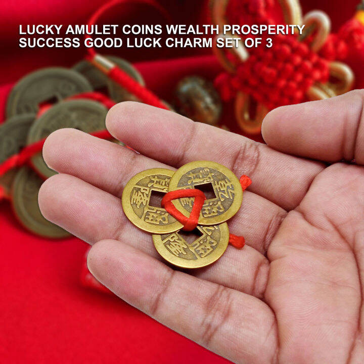 Fea Store Lucky Amulet Coins Wealth Prosperity Success Good Luck Charm ...