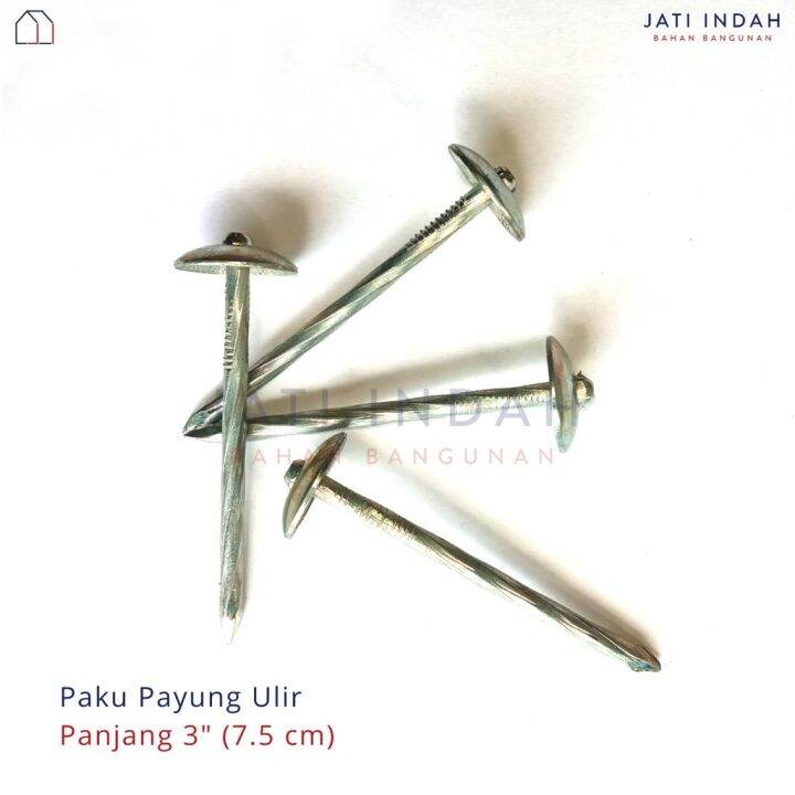 PAKU PAYUNG ULIR 3 INCH / 7.5 CM / PAKU SENG / ASBES (1 ons / 100 gram | Lazada Indonesia