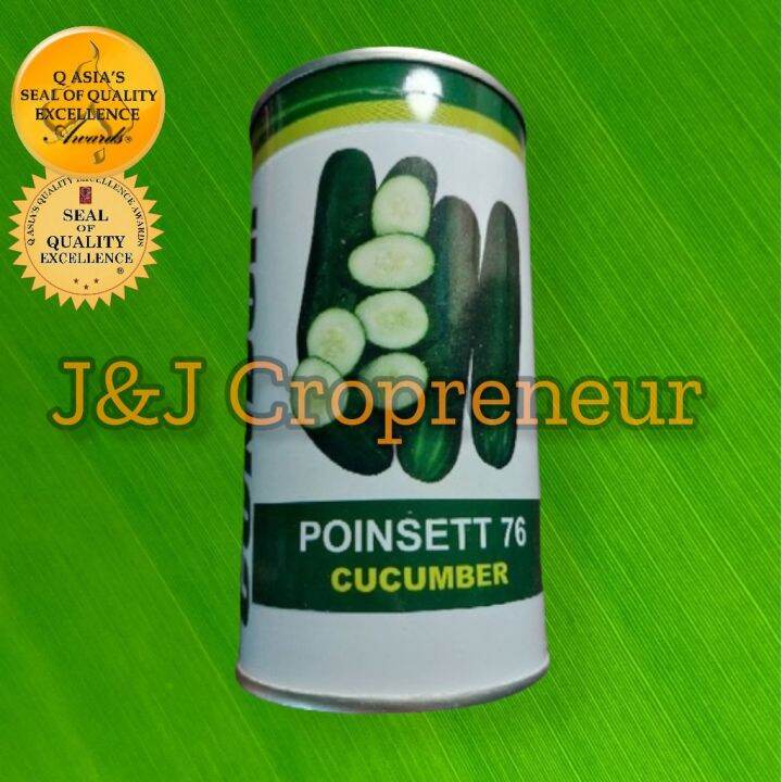 POINSETT 76 (100 GRAMS) OPV CUCUMBER BY CONDOR SEEDS | Lazada PH
