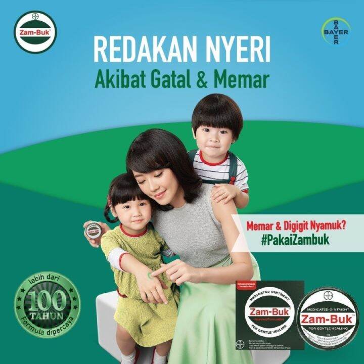 Zambuk Zam-Buk Original Bayer 25 gr Obat Memar dan Terkilir Keseleo ...