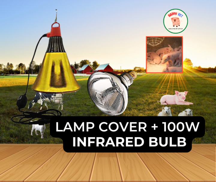 1 Set Golden color heat lamp shade + infrared heat bulb brooder lamp ...