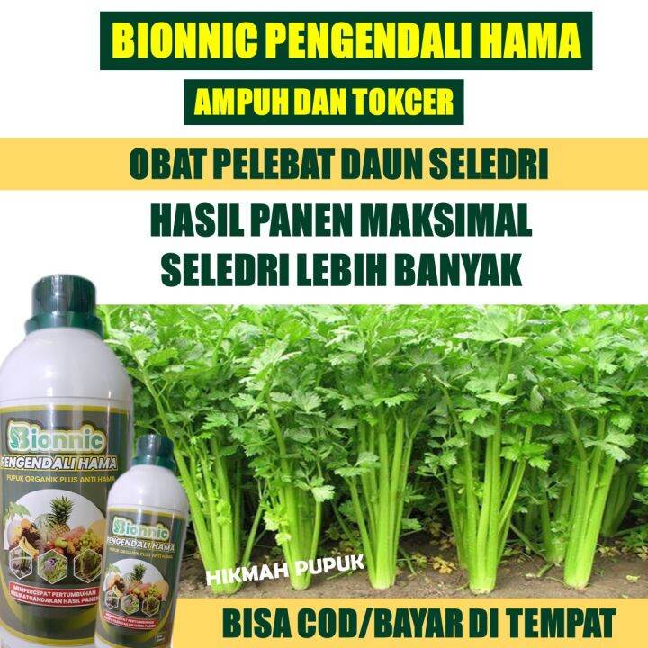 (PUPUK SELEDRI) BIONNIC 500 ML Obat Pelebat Buah Seledri & Penyubur ...