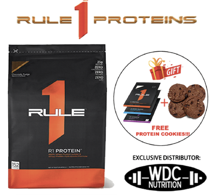 R1 Rule 1 Protein 100% Whey Protein Isolate Hydrolyze 10lbs - ON, BSN ...