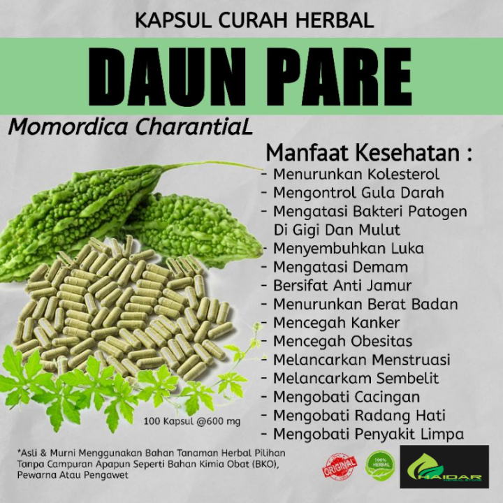 Kapsul DAUN PARE 100 Kapsul Herbal Curah | Herbal Kolesterol Dan ...