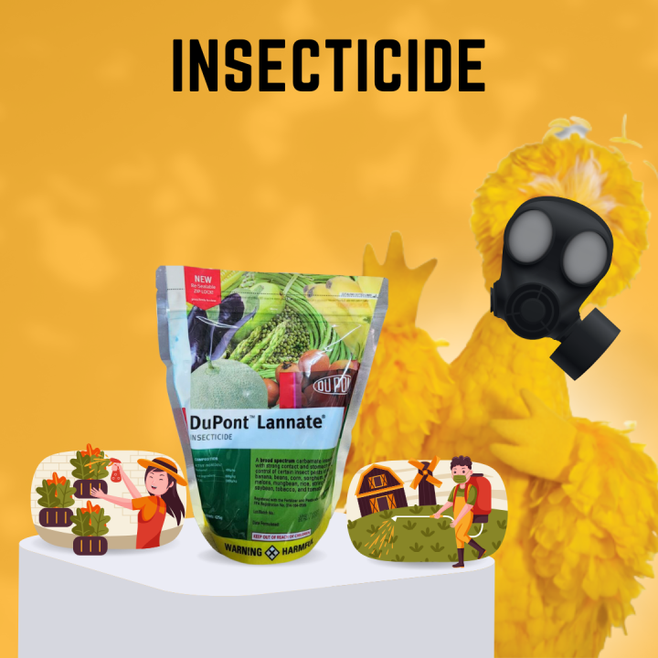 LANNATE 40SP 425g INSECTICIDE FOR PLANT CARE AND CROPS | Lazada PH