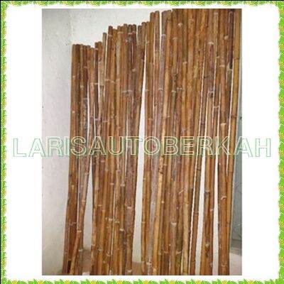 rotan panjang 2 meter diameter 3-4 cm utuh tanpa di potong | Lazada ...