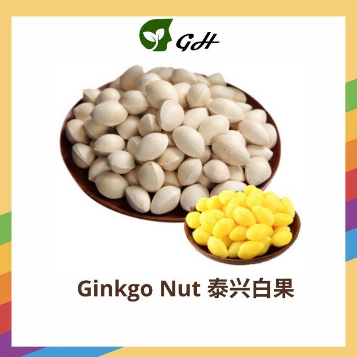 [GH Centre 贵和养生] Ginkgo Nut/ Bai Guo/ Buah Ginkgo/ 泰兴白果/ 银杏果 [500g ...