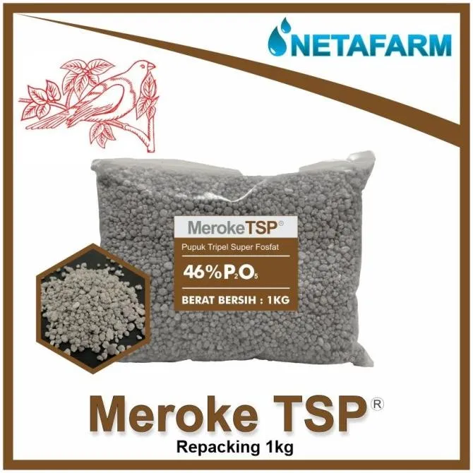 Pupuk Meroke Tsp Tripel Super Fosfat 46% P2O5 - 1 Kg ( Repacking ...