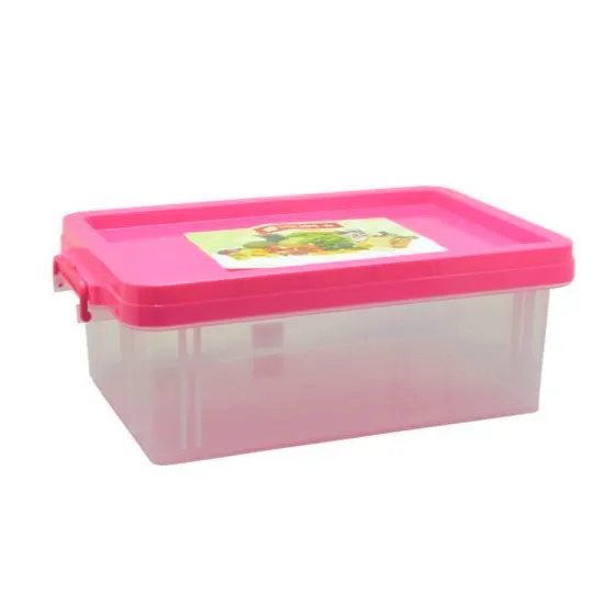 LIONSTAR FX 4 CLEAR BOX NO 20 KOTAK PENYIMPANAN SERBAGUNA LION STAR ...