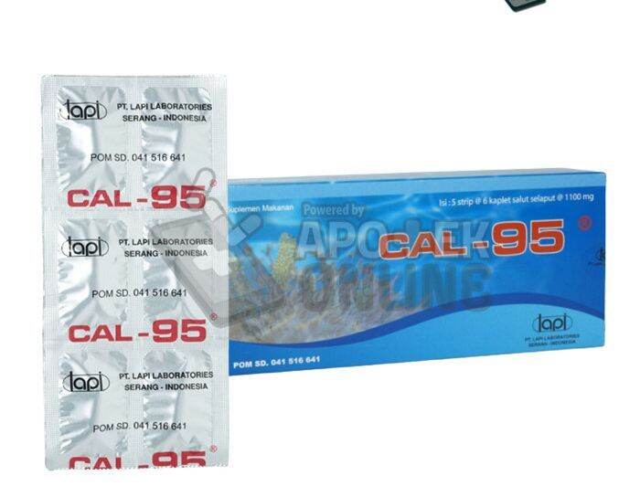 CAL-95 MEMELIHARA KESEHATAN TULANG | Lazada Indonesia