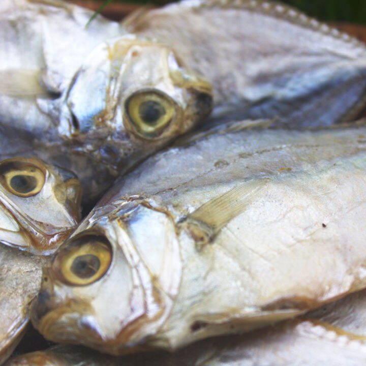 DRIED SAPSAP | DRIED FISH | 1KG | Lazada PH