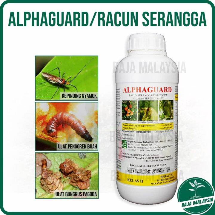 ALPHAGUARD SAMA CHECKERR 1 LITER | Lazada