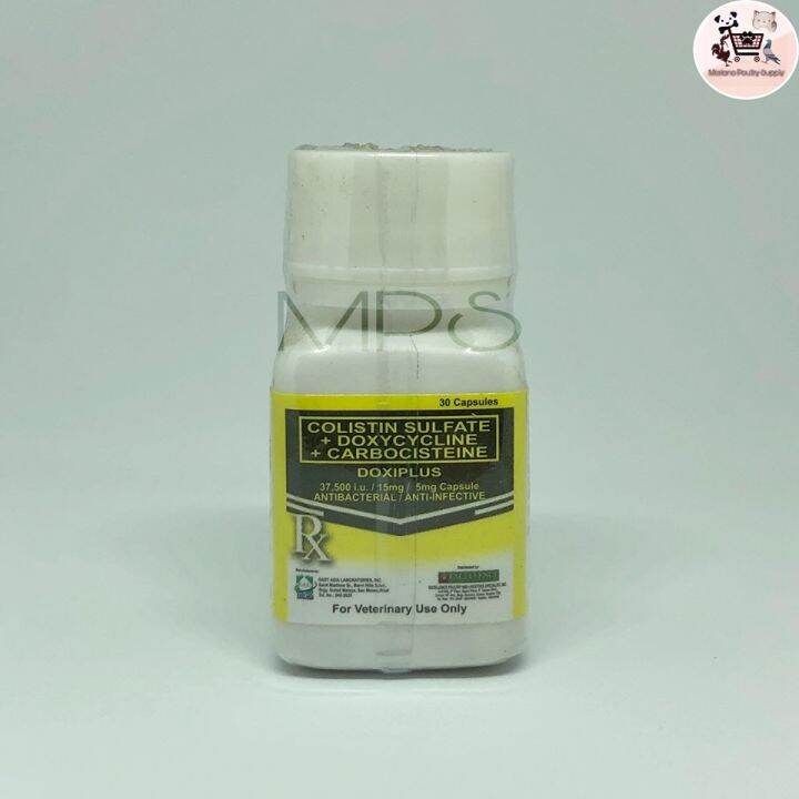 Rockdove Doxiplus (30 Capsules) | Lazada PH Rockdove Doxiplus (30 Capsules) | Lazada PH