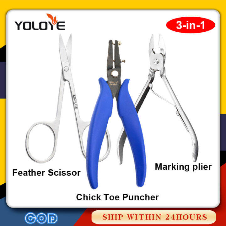 3 in 1 Gamefowl Kit Chicks toe puncher + Chicken nose marker pliers+ ...