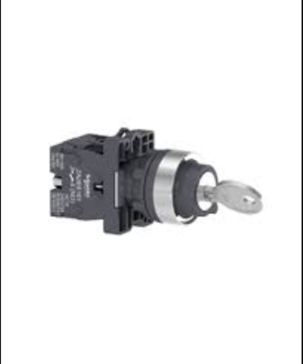 SELECTOR SWITCH WITH KEY BG33 (POSITION3) | Lazada PH