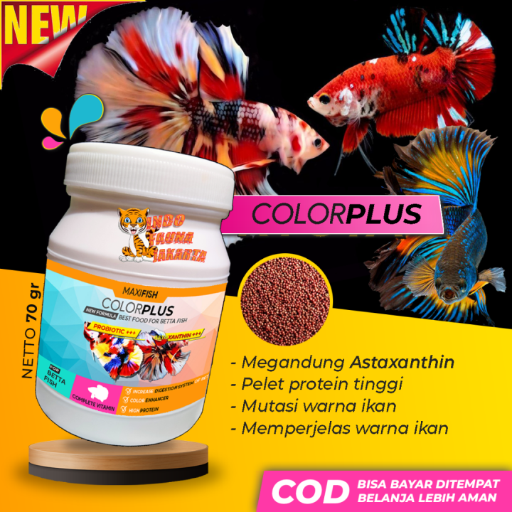[COLORPLUS] Pelet Pakan Ikan Cupang Blue Rim Avatar Halfmoon Galaxy ...