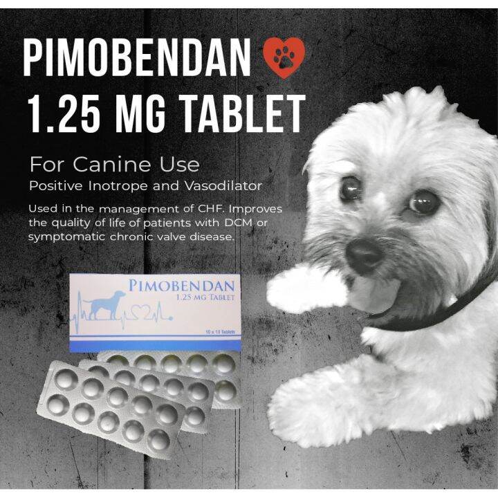 Pimobendan 1.25mg Tablet | Phosphodiesterase III Inhibitor & Calcium ...