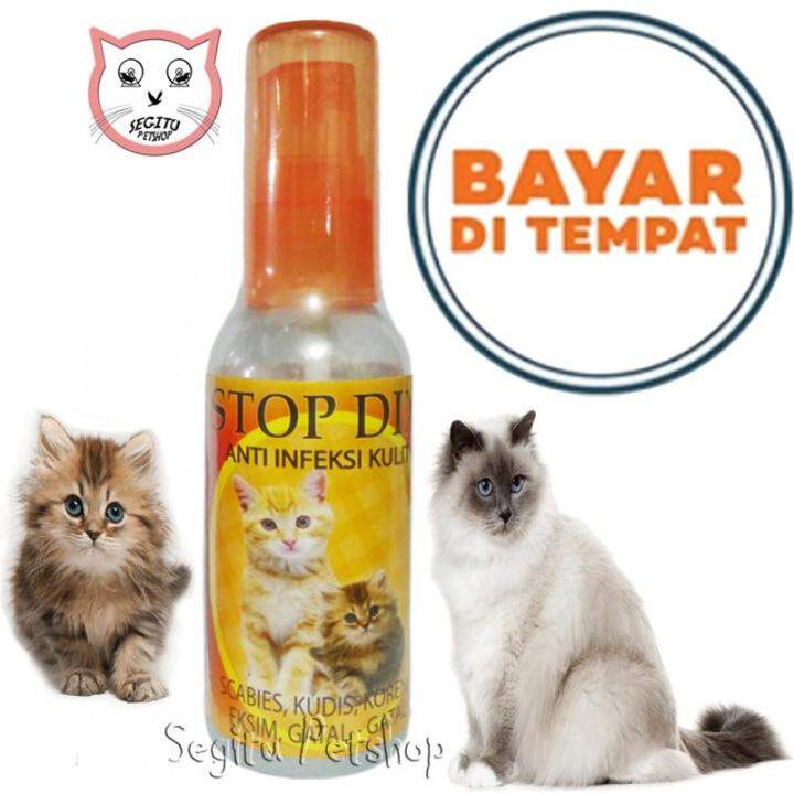 Obat Jamur Koreng Kucing Scabies Luka Infeksi Kulit Gatal Gatal Kutu ...