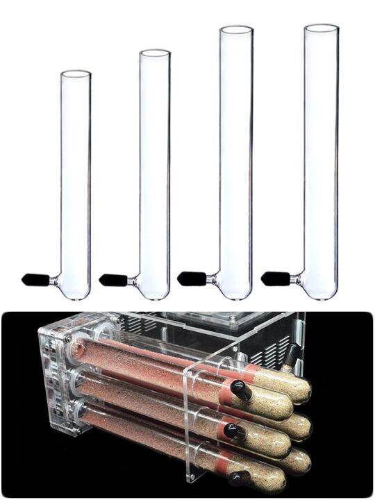 How To Add Water To A Dry Ant Test Tube Setup – ZLHLBD