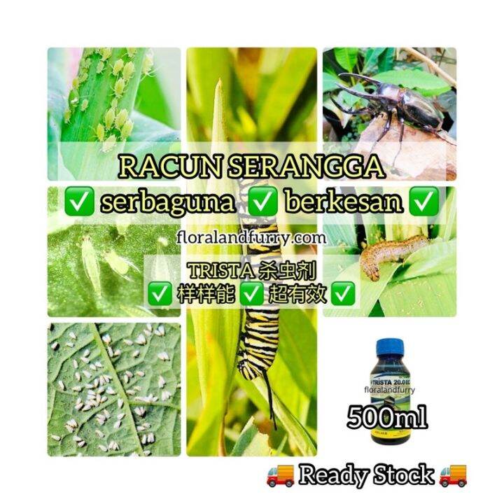 500ml TRISTA 20EC Bifenthrin 20% Insecticide Caterpillar Whitefly Aphid ...