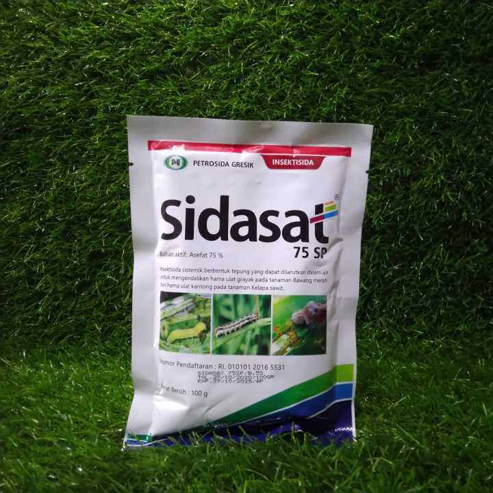 SIDASAT 75 SP 100 gram Bahan Aktif Asefat 75 persen Insektisida ...